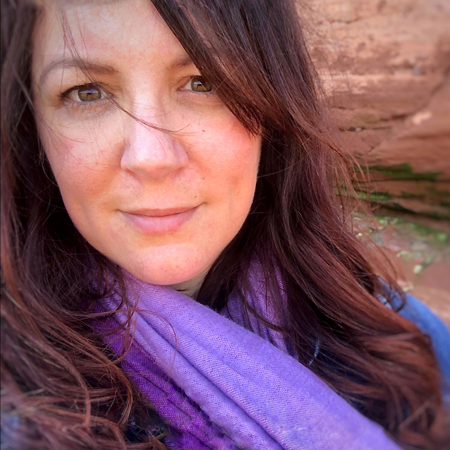 About Us – DIVERT Mental Health